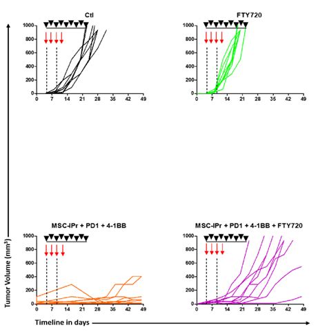 Figure S13 Tumor Growth Curves For Individual Mice Undergoing