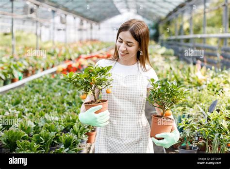 Woman Holds A Pot Of Flowers In Her Hands Growing Plants For Sale