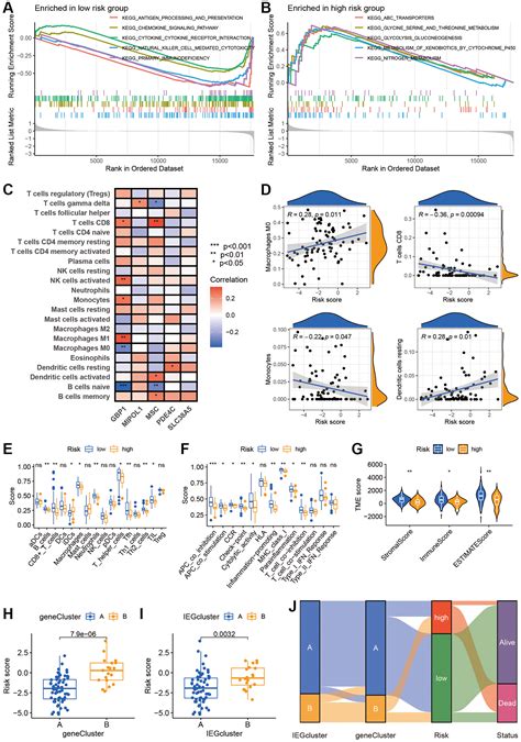 Molecular Characterization Of Cancer Intrinsic Immune Evasion Genes Indicates Prognosis And