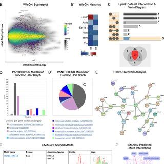PDF Bioinformatics For Wet Lab Scientists Practical Application In Sequencing Analysis