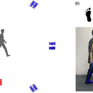 Overview Of The Experimental Set Up And Body Model Of OP A Download Scientific Diagram
