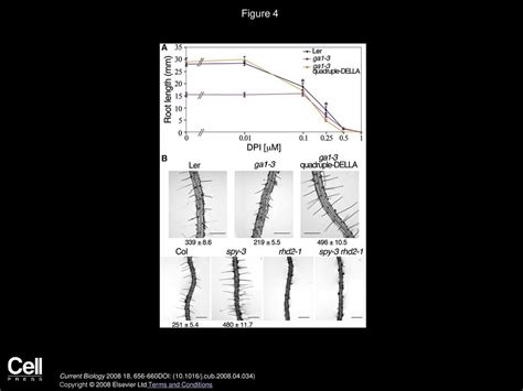 Volume Issue Pages May Ppt Download