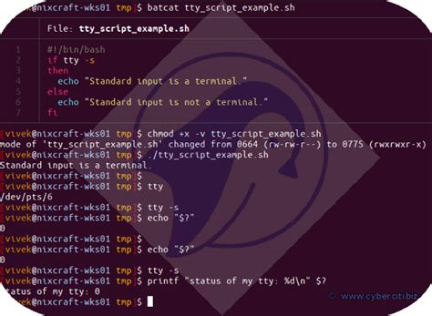 Find Out What Tty Im Using Tty Command Under Linux Unix Nixcraft