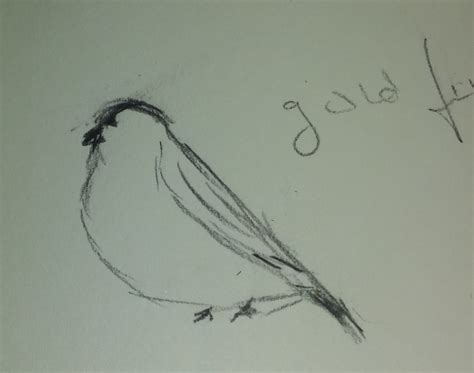 Compassion Drawing At Explore Collection Of Compassion Drawing