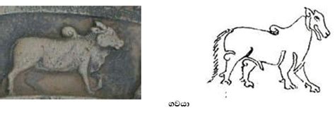 6 13 ශ්‍රේණි සඳහා චිත්‍ර කලාව සාම්ප්‍රදායික සත්ව රූප අධ්‍යයනය කරමු