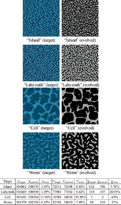 Figure 4 From A Genetic Algorithm Approach To Probing The Evolution Of Self Organized