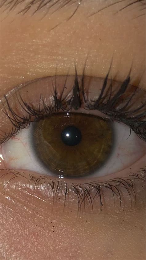 Eye Artofit