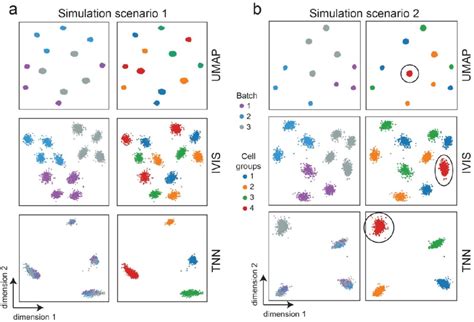 Insct Robustly Overcomes Batch Effects In Simulated Scrna Seq Data Download Scientific Insct Robustly Overcomes Batch Effects In Simulated Scrna Seq Data Download Scientific