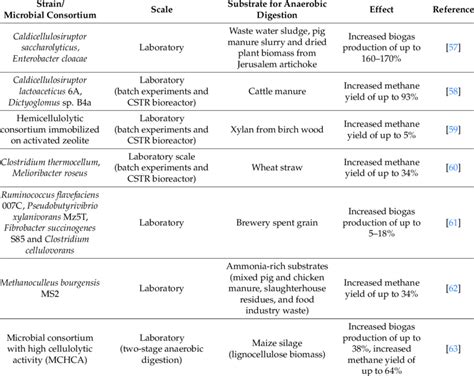 Examples Of Various Bioaugmentation Procedures Applied In Anaerobic