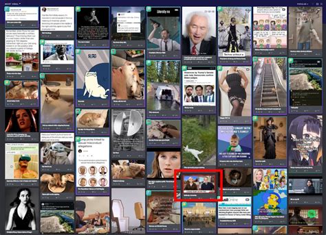 Absolutely Cant Scroll Imgur Any More Album On Imgur