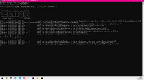 浅浅纪念花一个月完成springboot mybatis springmvc vue2 elementui的前后端交互入门项目 基于