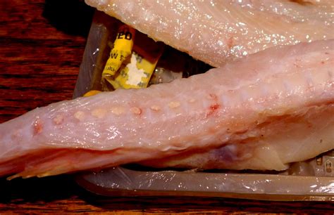 How To Find Monkfish Parasites Microsporidian Xenomas