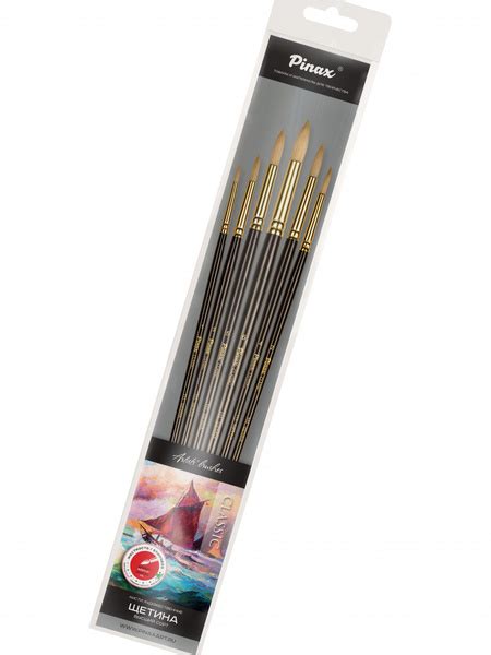 Набор кистей Pinax Artists Classic щетина 6 шт КРУГЛЫЕ купить с доставкой по выгодным ценам