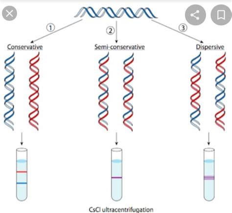 What Is Dispersive Replication