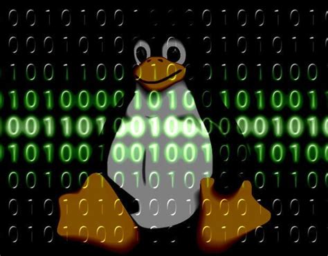 How To Install The Unity Editor On Linux