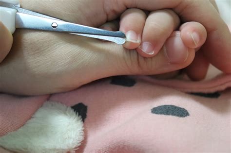 아기손톱관리 베이비네일즈 베이비 네일파일로 간편하게 네이버 블로그