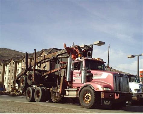 Sal adlı kullanıcının Self Load Loggers panosundaki Pin