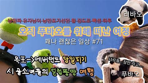 꽤괜일 Vlog 에버랜드판다 판다월드 푸바오 71 Youtube