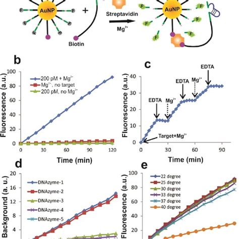 A A Target Triggered Dnazyme Motor Responsive To Streptavidin B