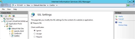 Installing A Two Tier Pki Hierarchy In Windows Server 2012 Part Vii Enabling Ssl On The Web