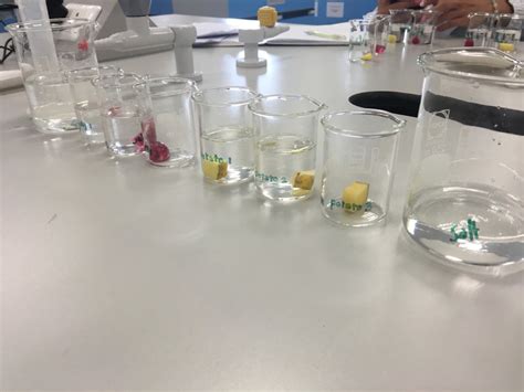 Osmosis Lab Grace Boonsita Poungkulab