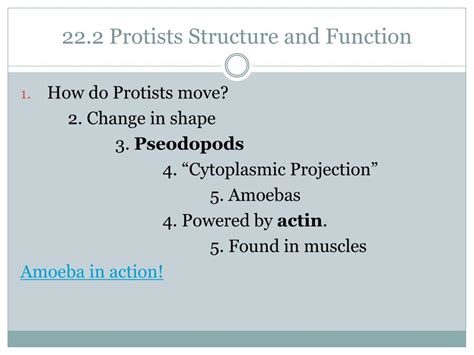 PPT Protists The Other Form Of Life PowerPoint Presentation Free Download ID 2189257