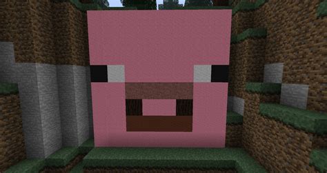 2d Passive Mobs Minecraft Map
