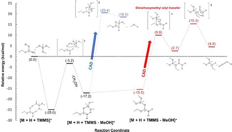 Potential Energy Surface Calculated At The M06‐2x6‐311g Dp Level