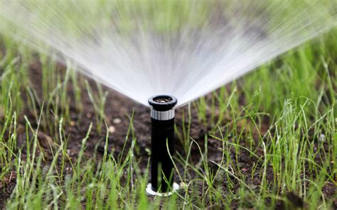 Types Of Sprinkler Heads