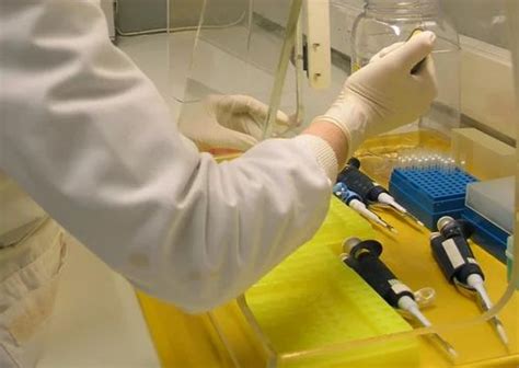 Cattle Feed Raw Material Testing Services In New Delhi