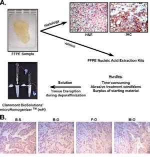 A Novel Method For RNA Extraction From FFPE Samples Reveals Significant Differences In Biomarker