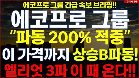 에코프로 그룹 파동 200 적중 이 가격까지 상승 B파동 엘리엇 3파 이 때 온다 에코프로 에코프로머티 긴급속보