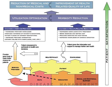 1 A Conceptual Framework Of Disease Management Download Scientific Diagram