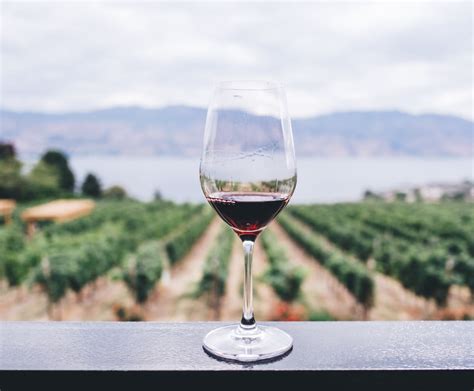 Why Does Wine Taste Sour Possible Causes And Solutions