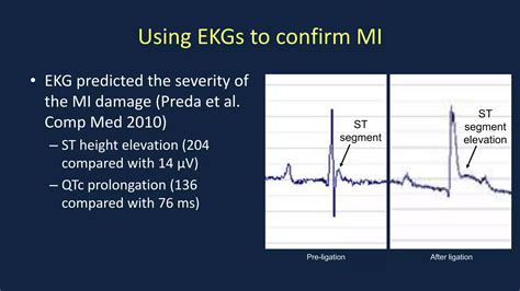 Using Ekg To Confirm Mi In Mouse Model Of Permanent Lad Occlusion Pptx