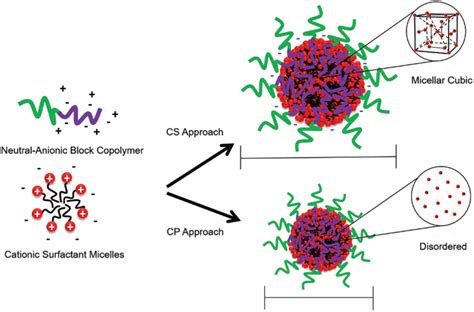 Formation Of Block Copolymer Nps With Surfactant‐rich Cores By The Cs Download Scientific