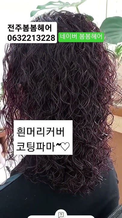 코팅파마일반파마가늘고힘없는머리파마 복구펌 단발레이어드컷 긴머리히피펌 Youtube