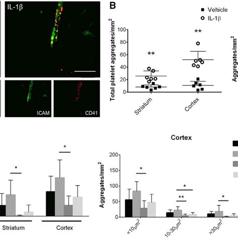 Systemic Inflammation Is Associated With Hypoperfusion And A