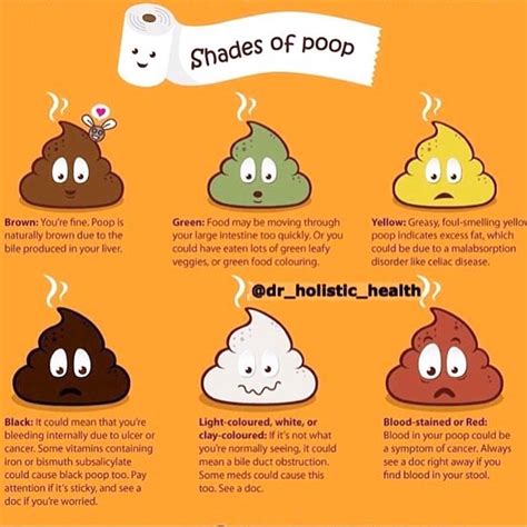 Yellow Colored Stool In Adults Ibs Poop Color Whats Normal And
