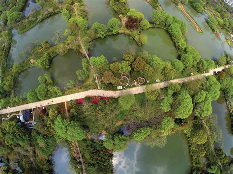 How Alibaba Founder Jack Ma Built A Global Internet Empire Maxim