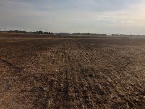 Sod Blog Installation