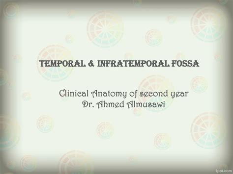 PPT Temporal Infratemporal Fossa PowerPoint Presentation Free Download ID 8821930