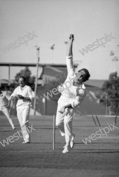 Western Australian State Cricketer Portrait Westpix