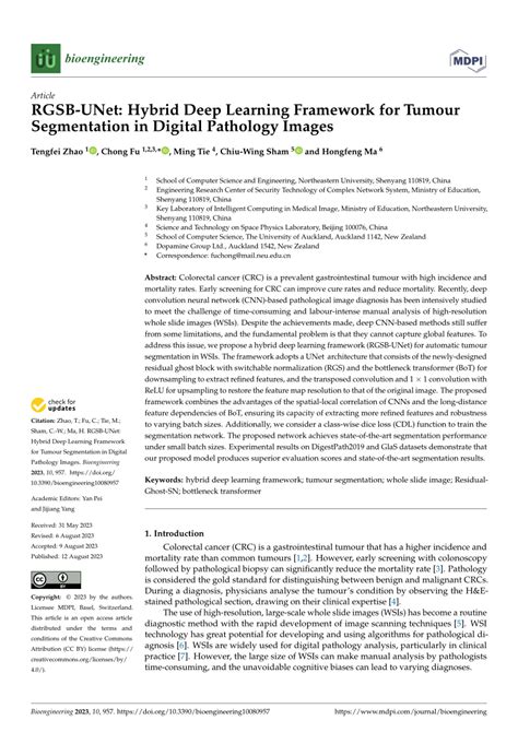Pdf Rgsb Unet Hybrid Deep Learning Framework For Tumour Segmentation In Digital Pathology Images