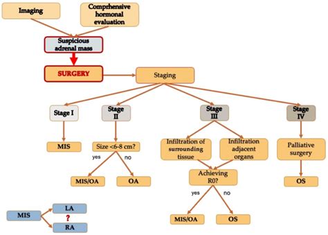 Conclusions Surgical Treatment And Management Of Adrenocortical