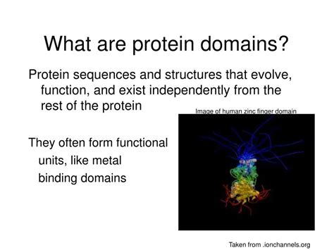 Ppt Dna Motif And Protein Domain Discovery Powerpoint Presentation Free Download Id 1024735