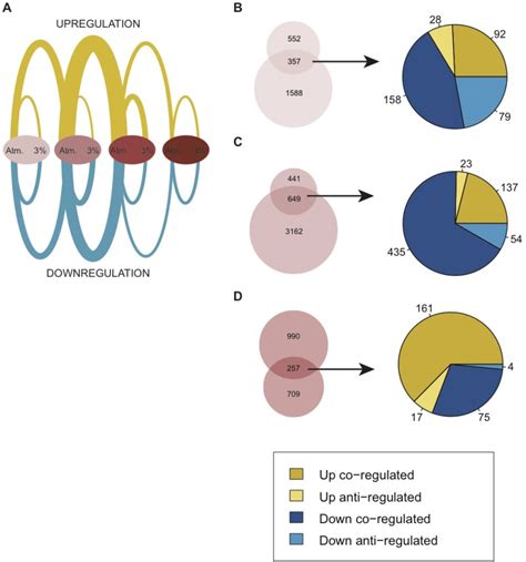Transcriptome Profiling Of The Interconnection Of Pathways Involved In Malignant Transformation