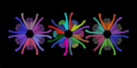 Leg Show Eric Neveuquiet Lunch