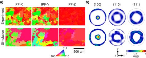 A Comparison Between The Sample3d Predicted Microstructure And The Download Scientific
