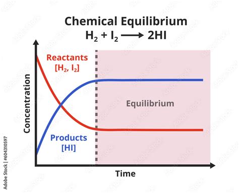 Vector Scientific Graph Or Chart Of Chemical Equilibrium How The Chemical Reactant And Product